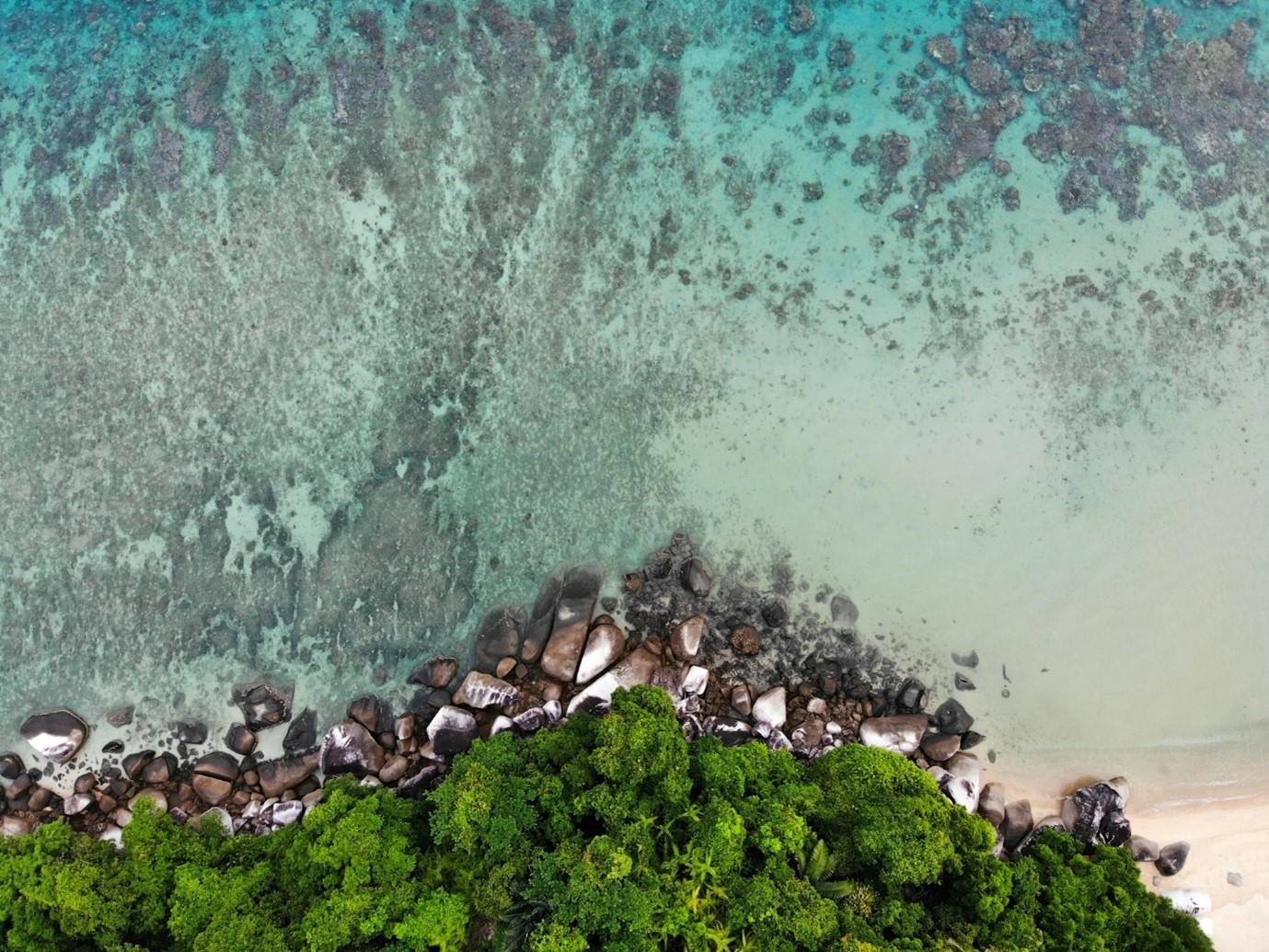 'A Malaysian Ecocriticism Reader: Considerations of Nature, Culture ...